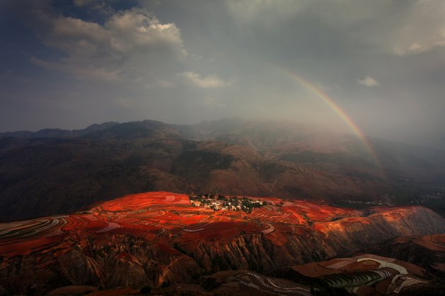 12 beautiful images from the National Geographic Photo Contest